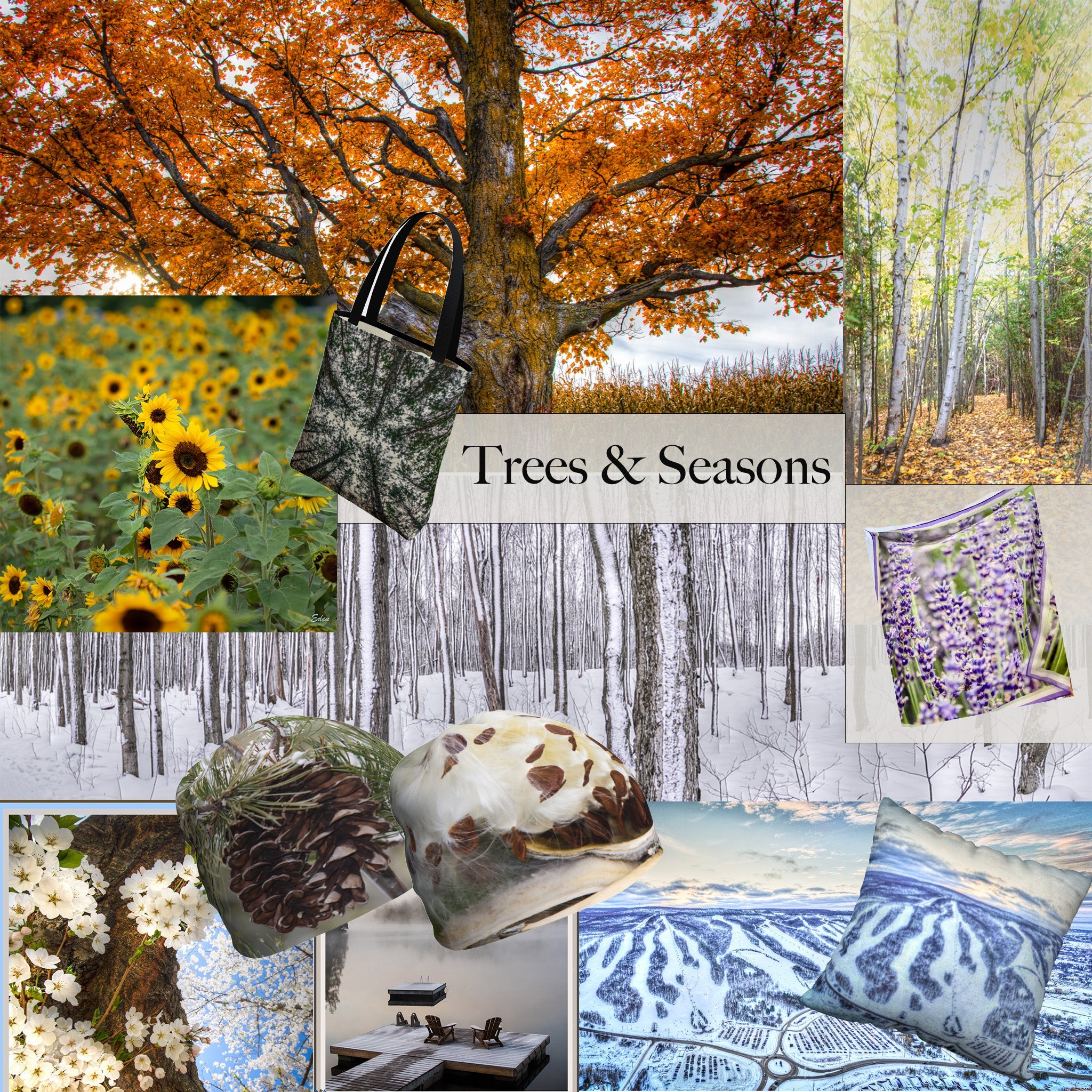 Trees and Seasons – Art U Wear